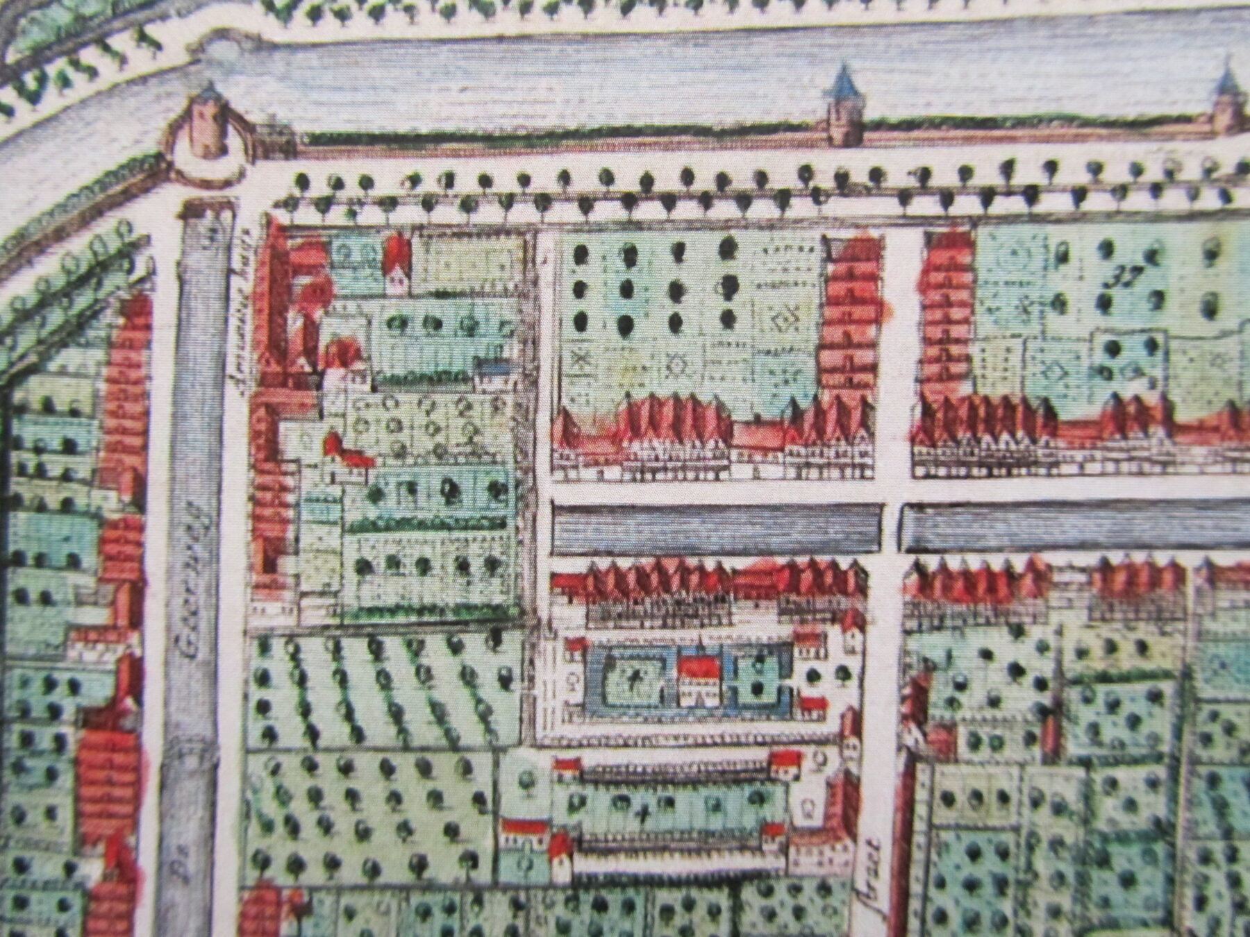 Identity - Buccaneer Delft