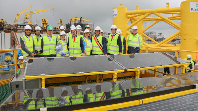 Tree Composites’ technology boosts the development of offshore solar ...